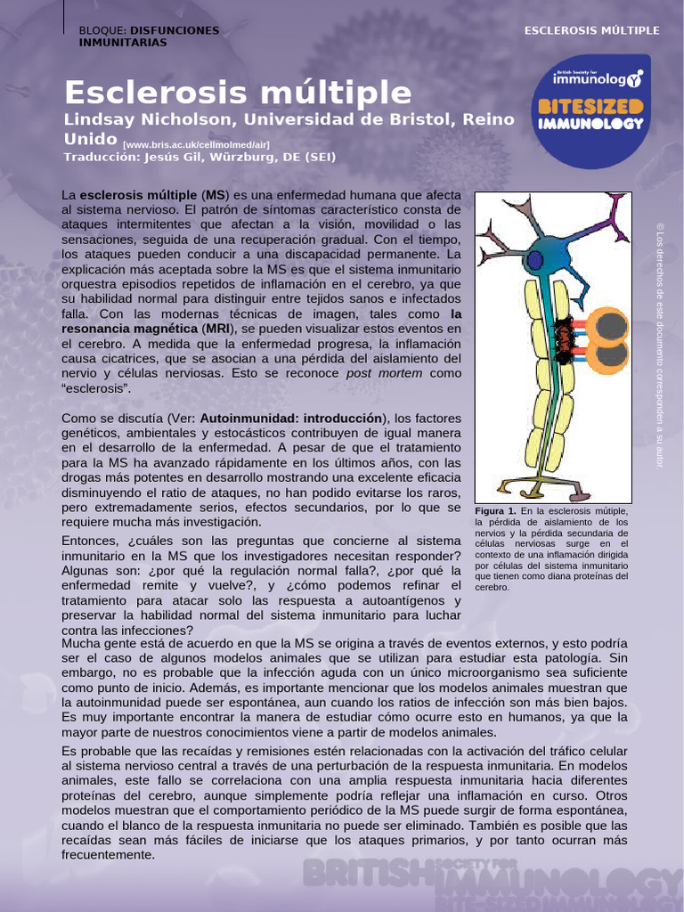 Multiple Sclerosis (Esclerosis Múltiple) | PDF | Esclerosis múltiple ...