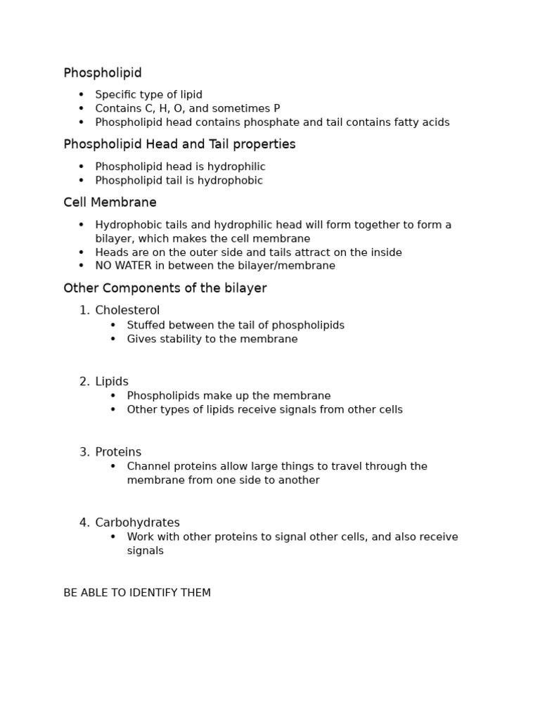 Cell Membrane Tructure Notes | PDF