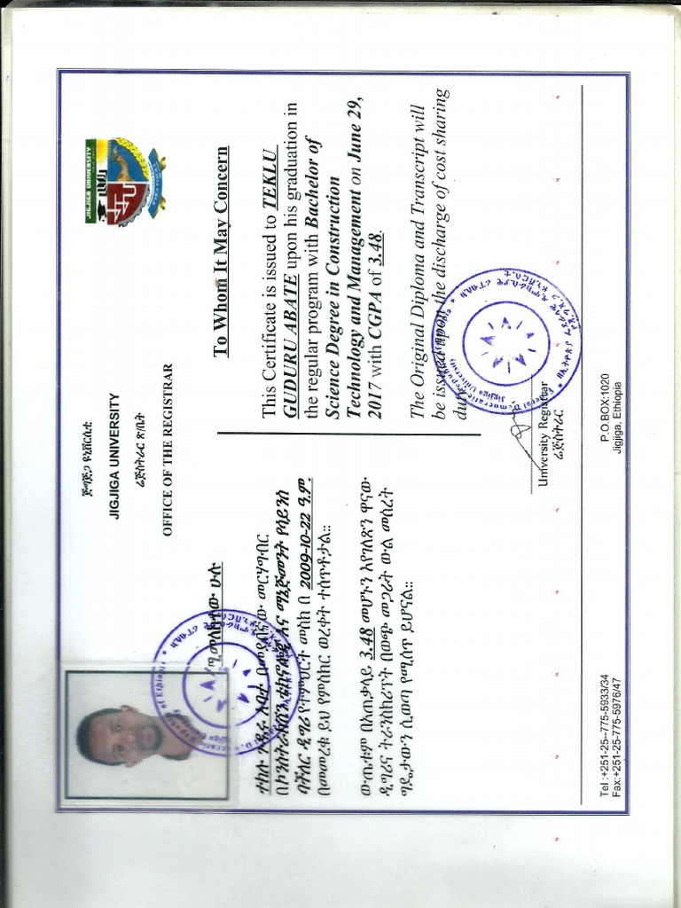 Teklu Scan | PDF