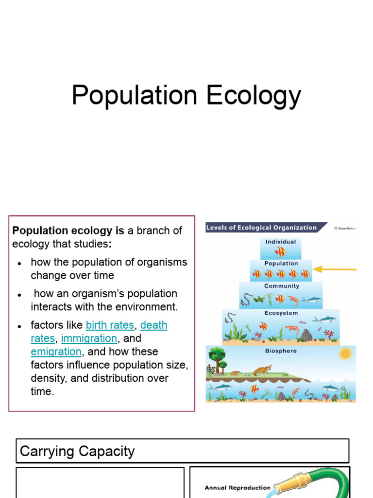 Understanding Population Ecology Dynamics | PDF