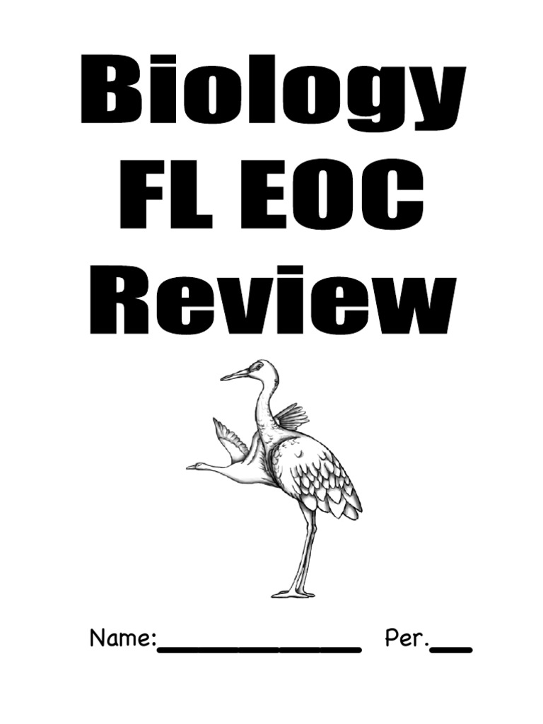 Florida Biology EOC Exam Review Guide | PDF | Cellular Respiration ...