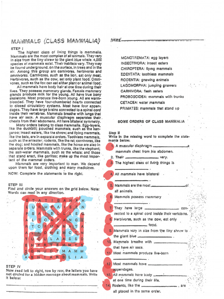 Mammals Wordsearch | PDF