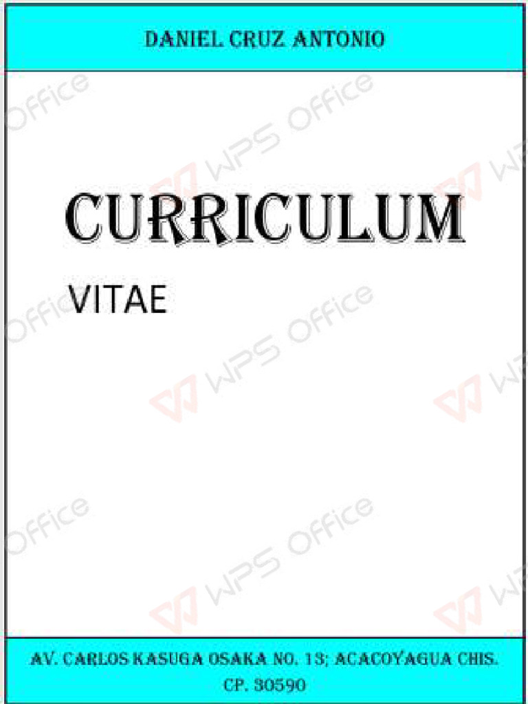CV Daniel Cruz Antonio | PDF
