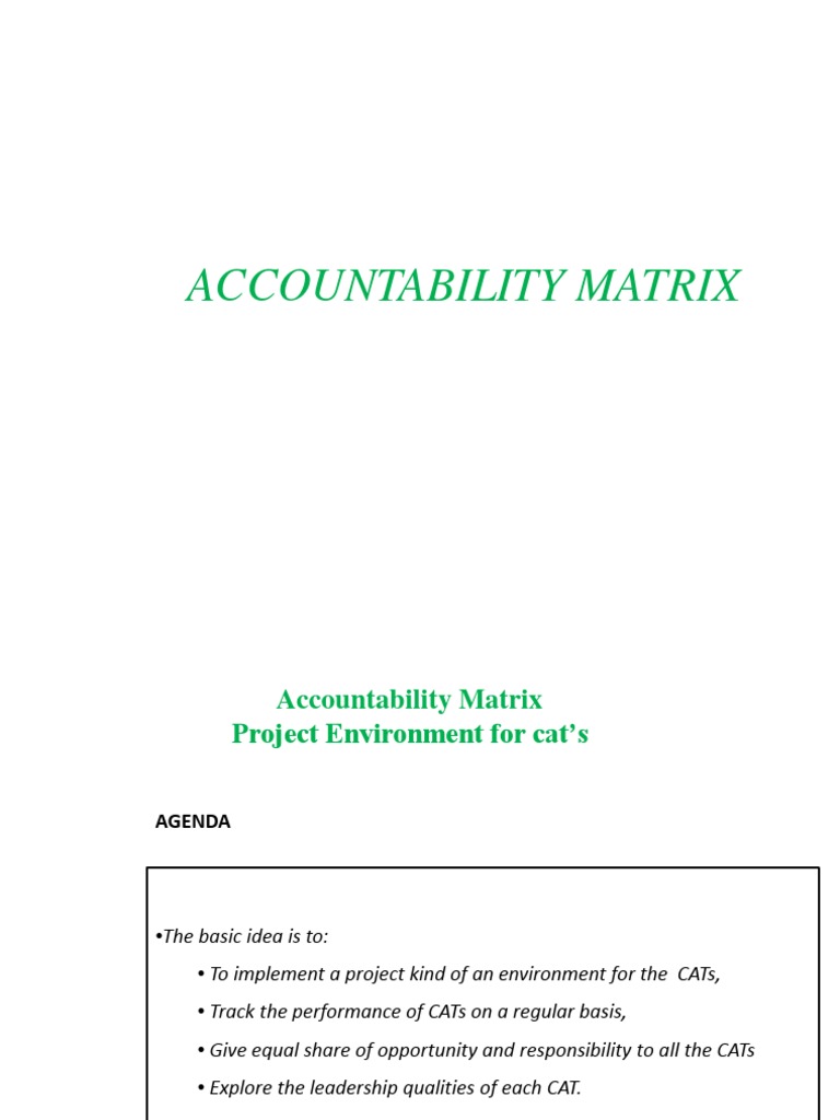Accountability Matrix | PDF | Leadership | Cognition