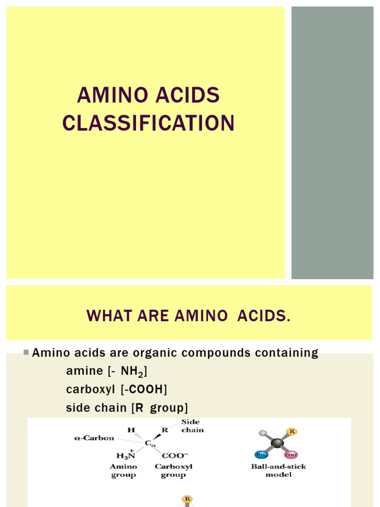 Classification of Amino Acids by R Group | PDF | Amino Acid | Acid