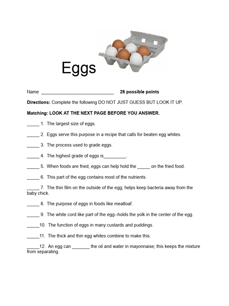 Eggs Worksheet | PDF