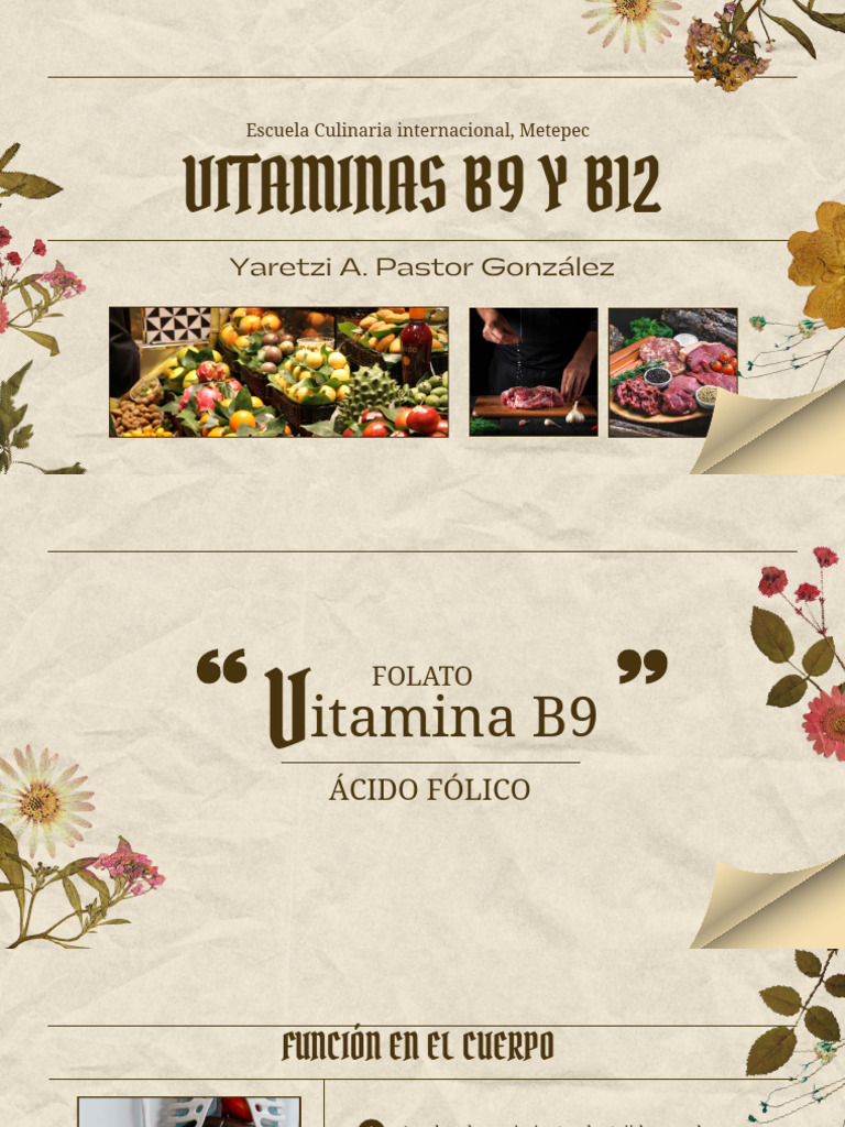 Beneficios y riesgos de B9 y B12 | PDF | Vitamina B12
