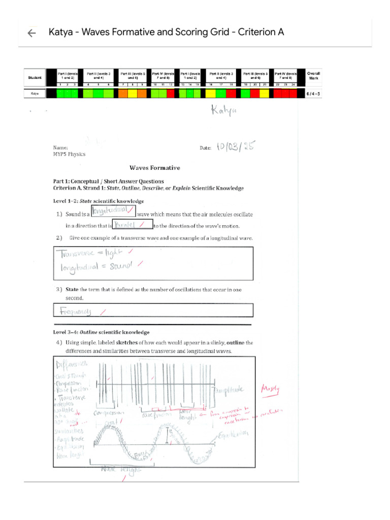 Katya - Waves Formative and Scoring Grid - Criterion A | PDF