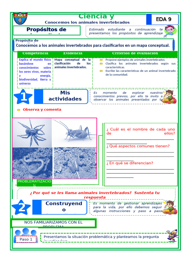 3°SESION-CYT-FICHA-Conocemos Los Animales Invertebrados | PDF | Esponja ...