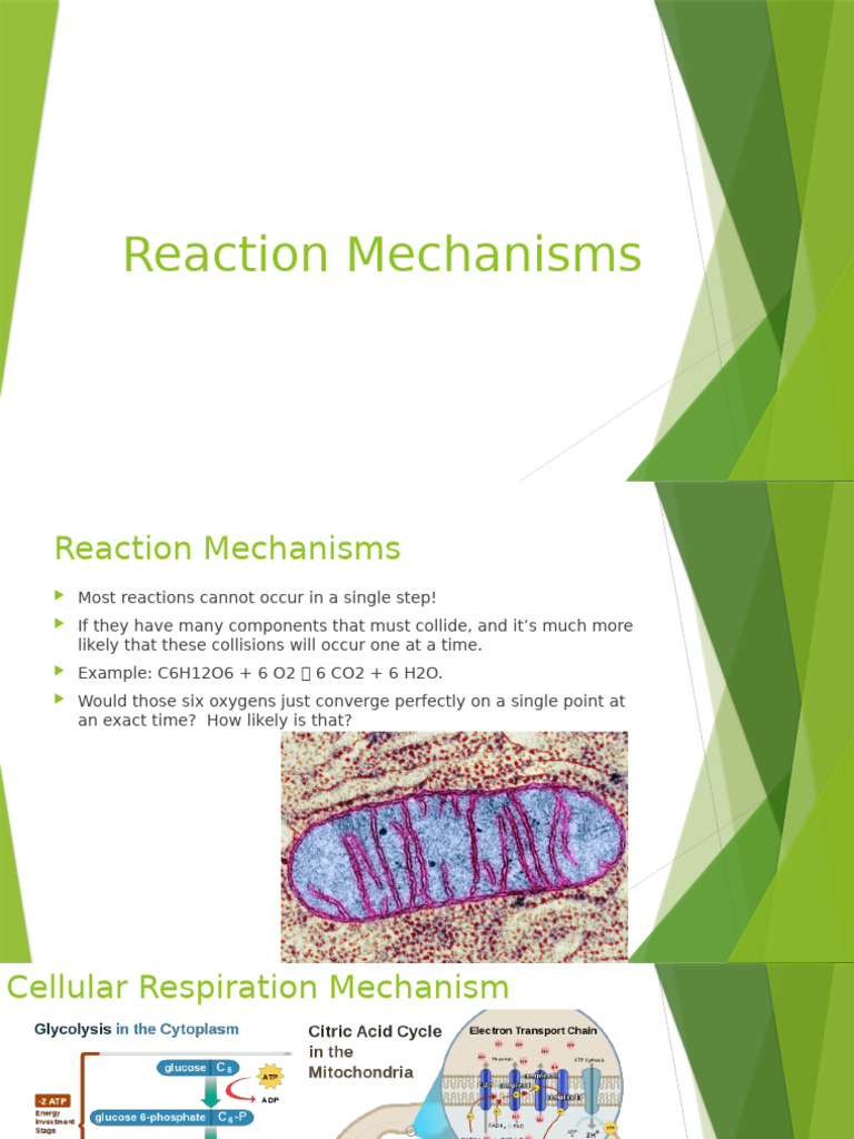 Reaction Mechanisms Part 1 | PDF