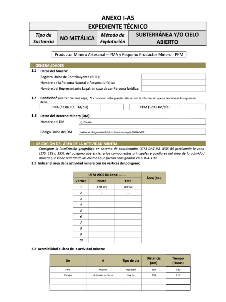 Formato A5 Como Llenar | PDF