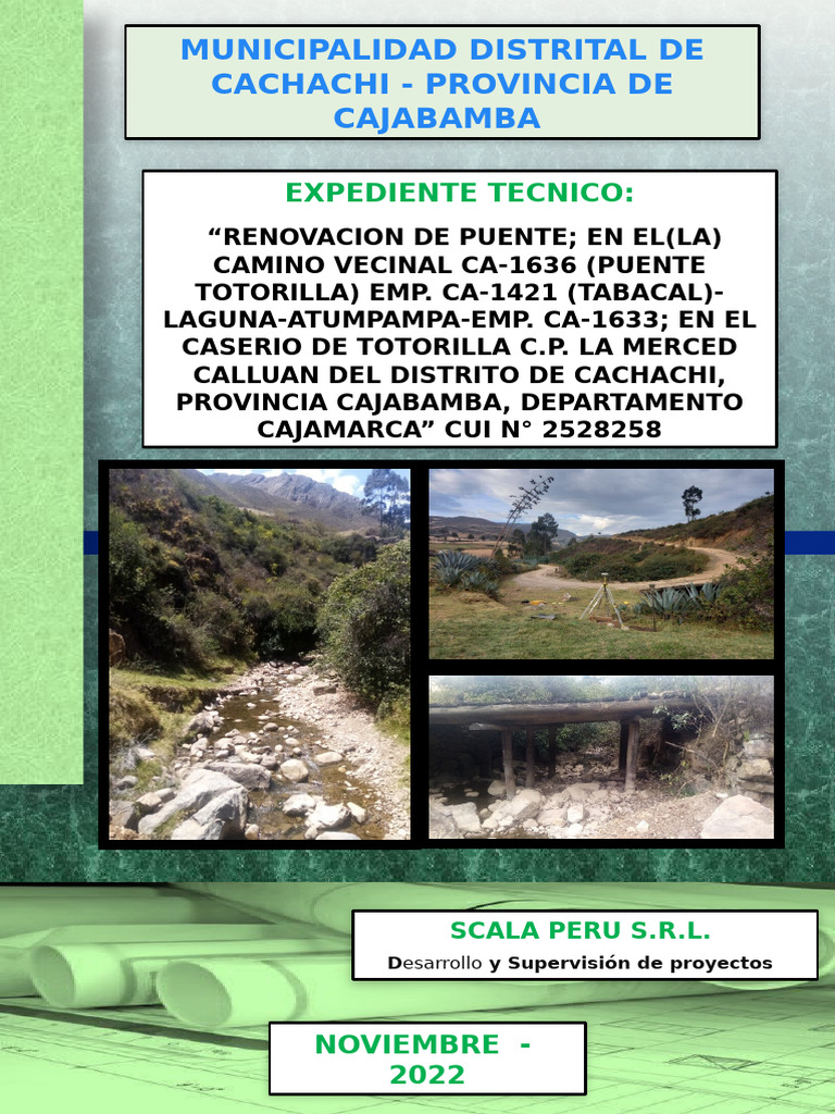 0.0. CARATULA_TOTORILLA | PDF