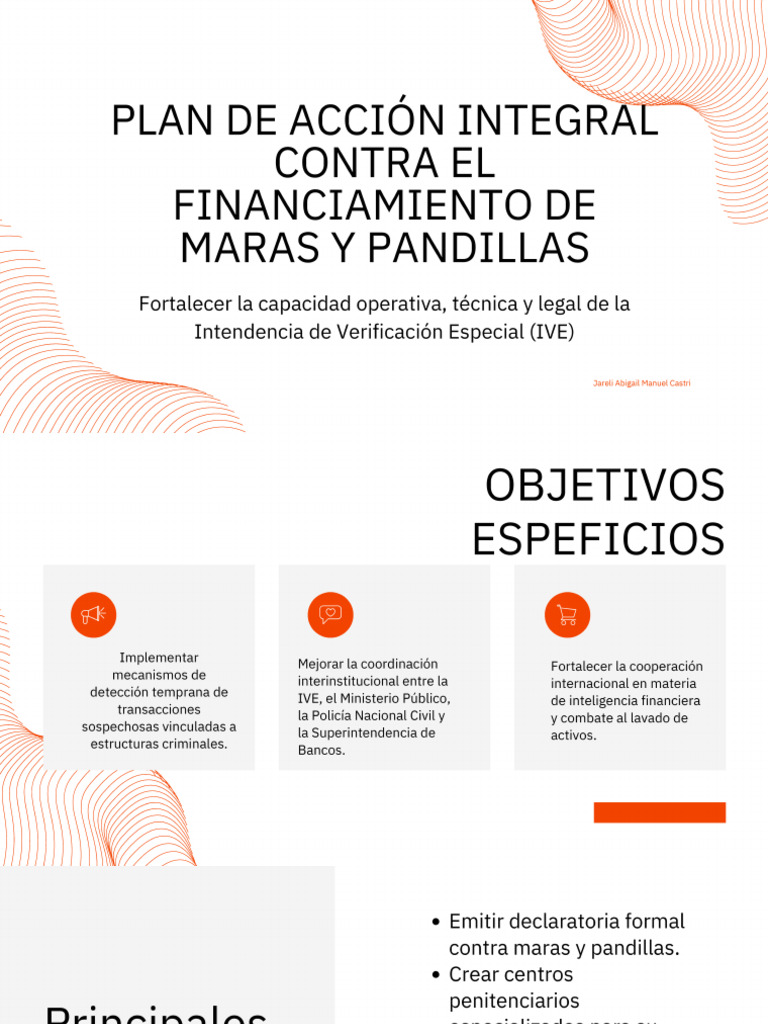 Plan de Accion | PDF