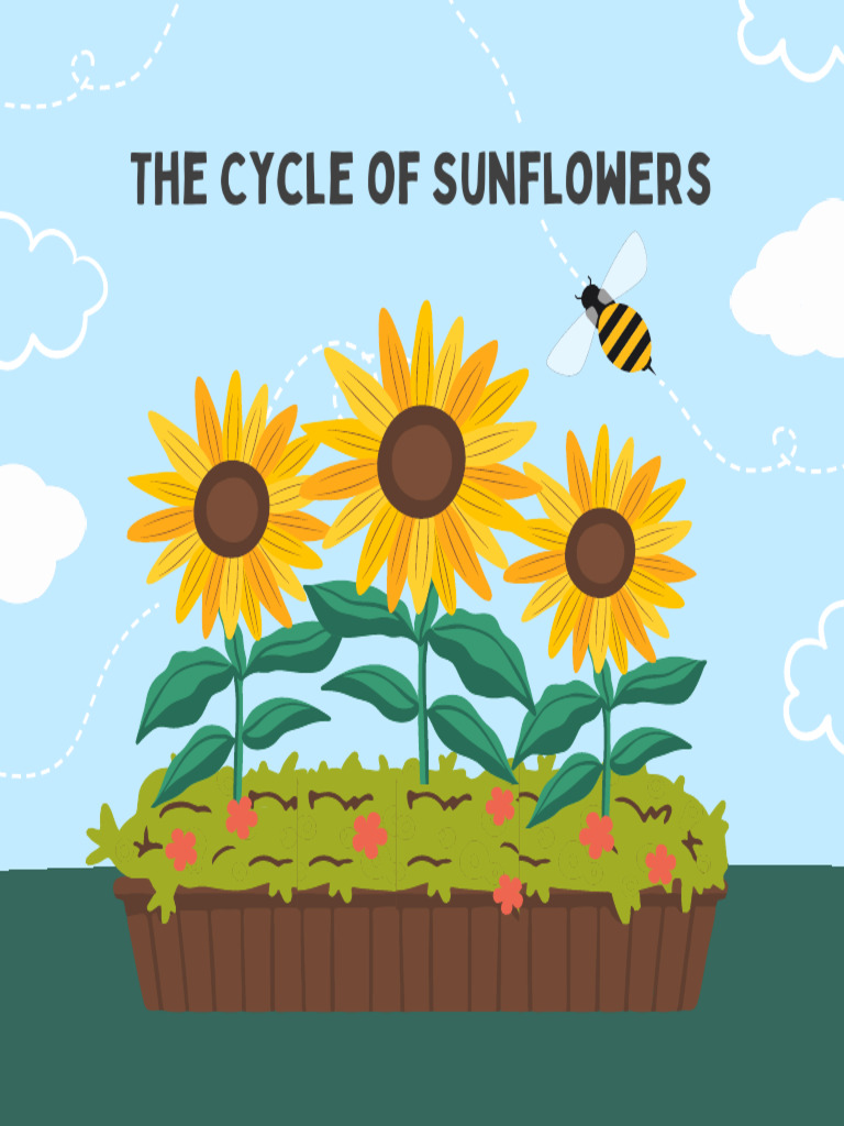 Story Book - The Cycle of Sunflowers | PDF