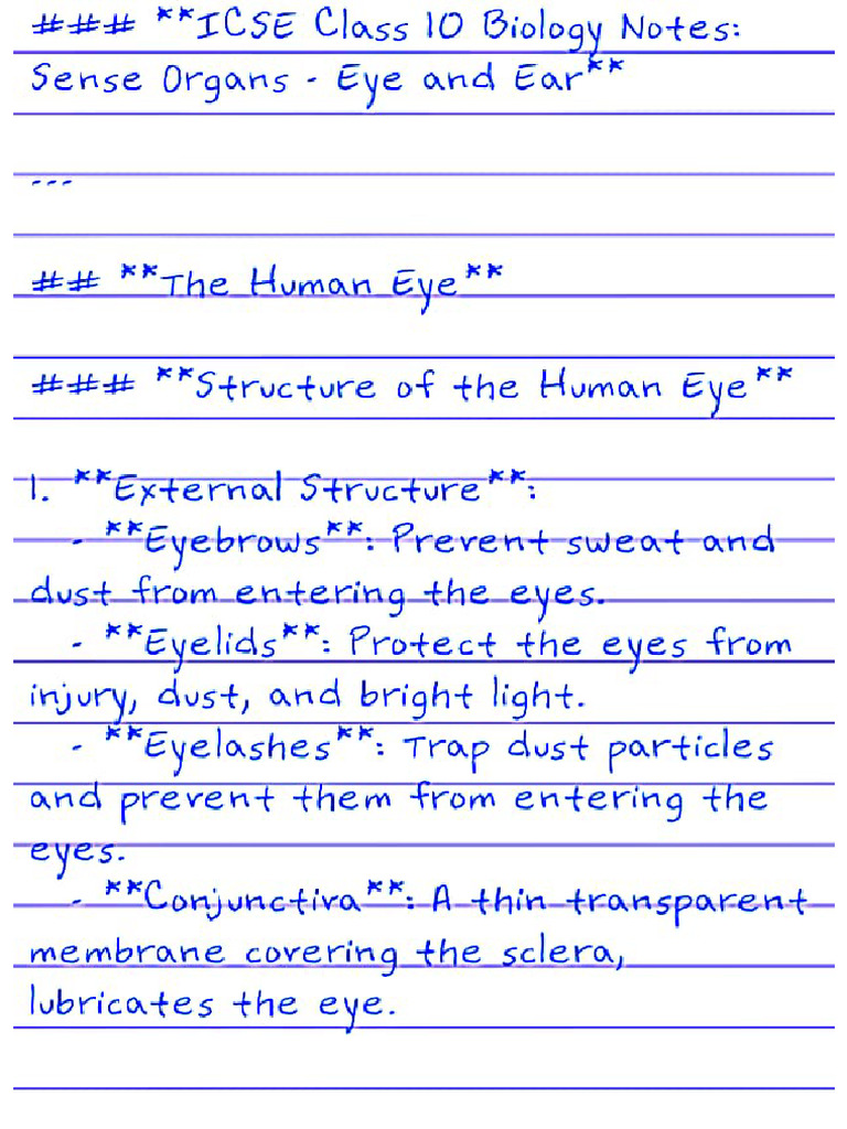 Sense Organs Handwritten Notes | PDF