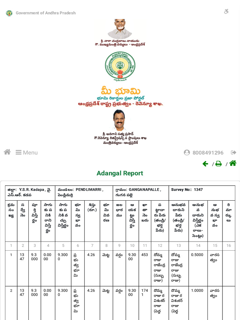 Meebhoomi - Template | PDF