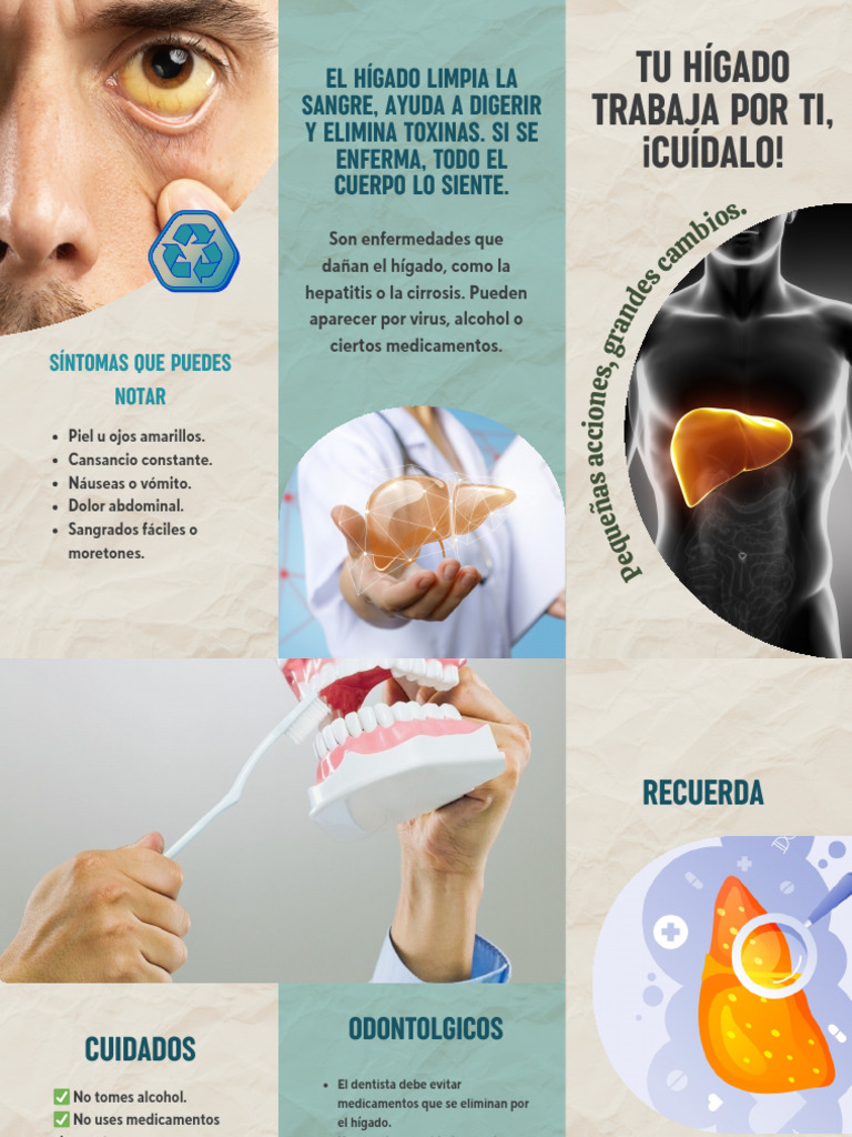 Hígado | PDF | Hepatitis | Medicina