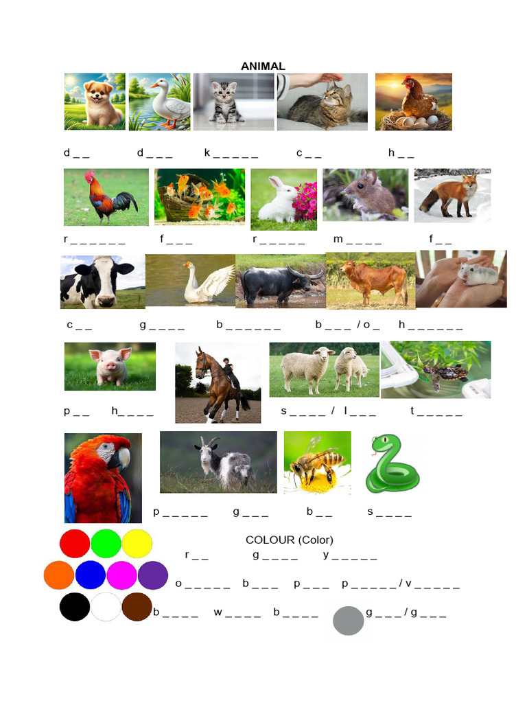 Animal + Color | PDF