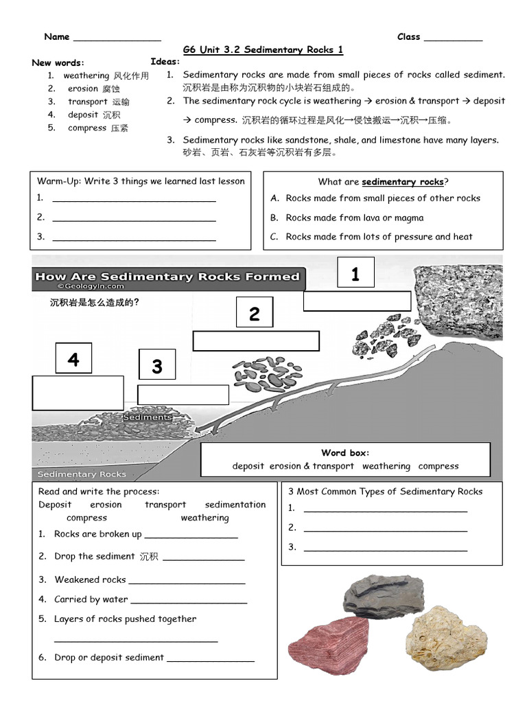Understanding Sedimentary Rocks and Fossils | PDF | Rock (Geology ...