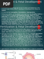 Maternity Triage BSOTS Clinical Guideline TACS Aug 2024 | PDF ...