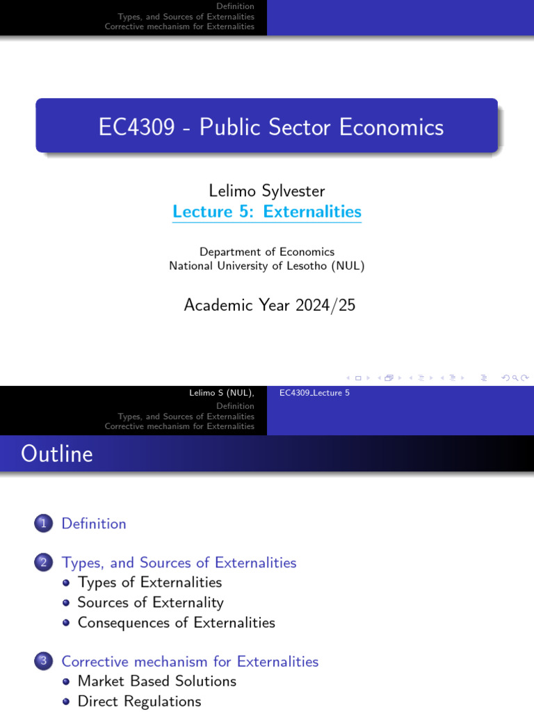 Understanding Externalities in Economics | PDF | Externality | Economies