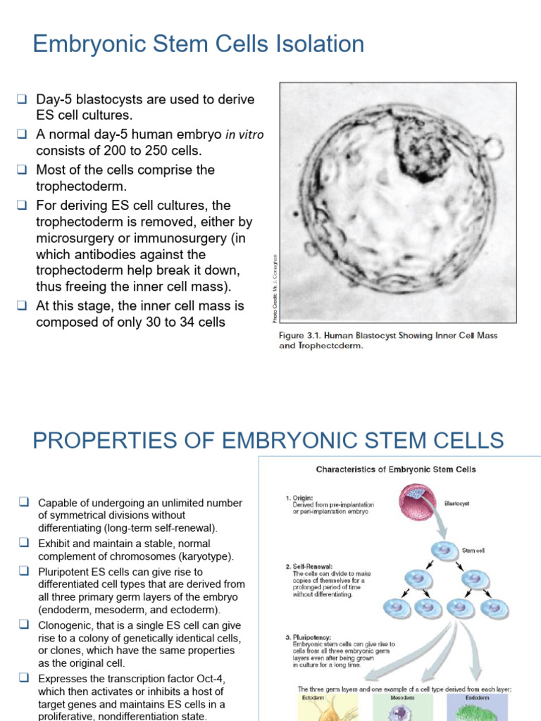 Unit-3-Embryonic Stem Cells-Isolation Cultute Char - 251009 - 225704 | PDF | Embryonic Stem Cell ...