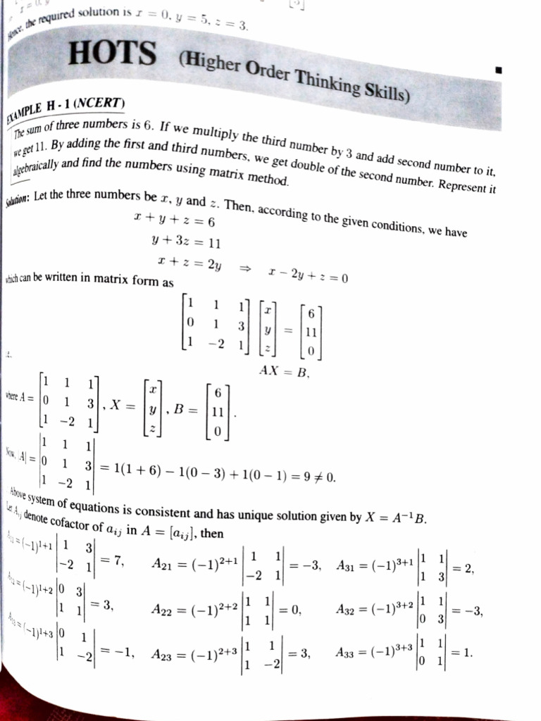 Matrix Equation CL 12 | PDF
