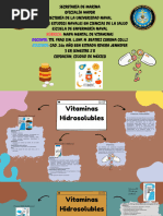 Polper B12 Forte: Prospecto y Uso | PDF | Serotonina | Vitamina B12