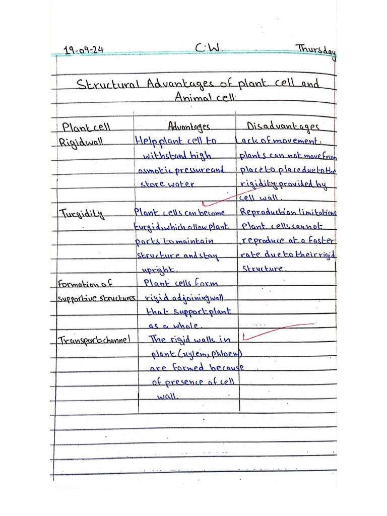 Document From Airus Sama | PDF