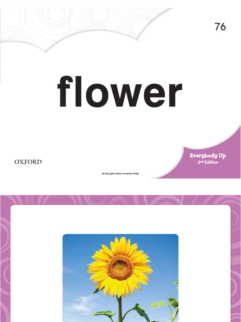 Flashcard Unit 5 | PDF