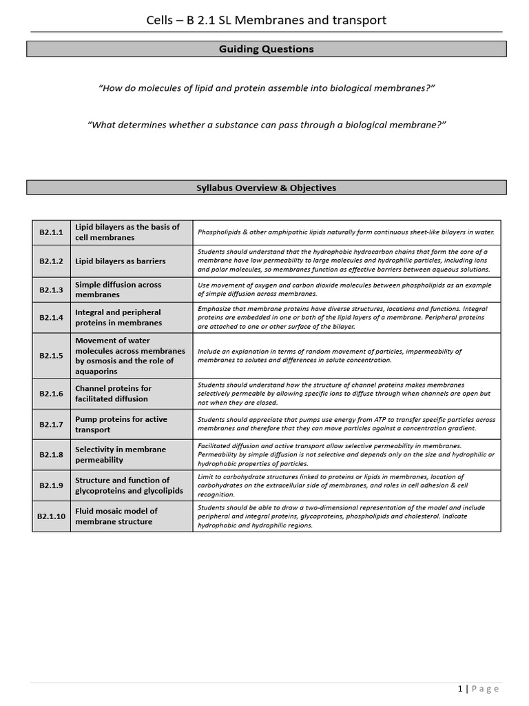 Membrane Structure and Transport Mechanisms | PDF | Cell Membrane ...