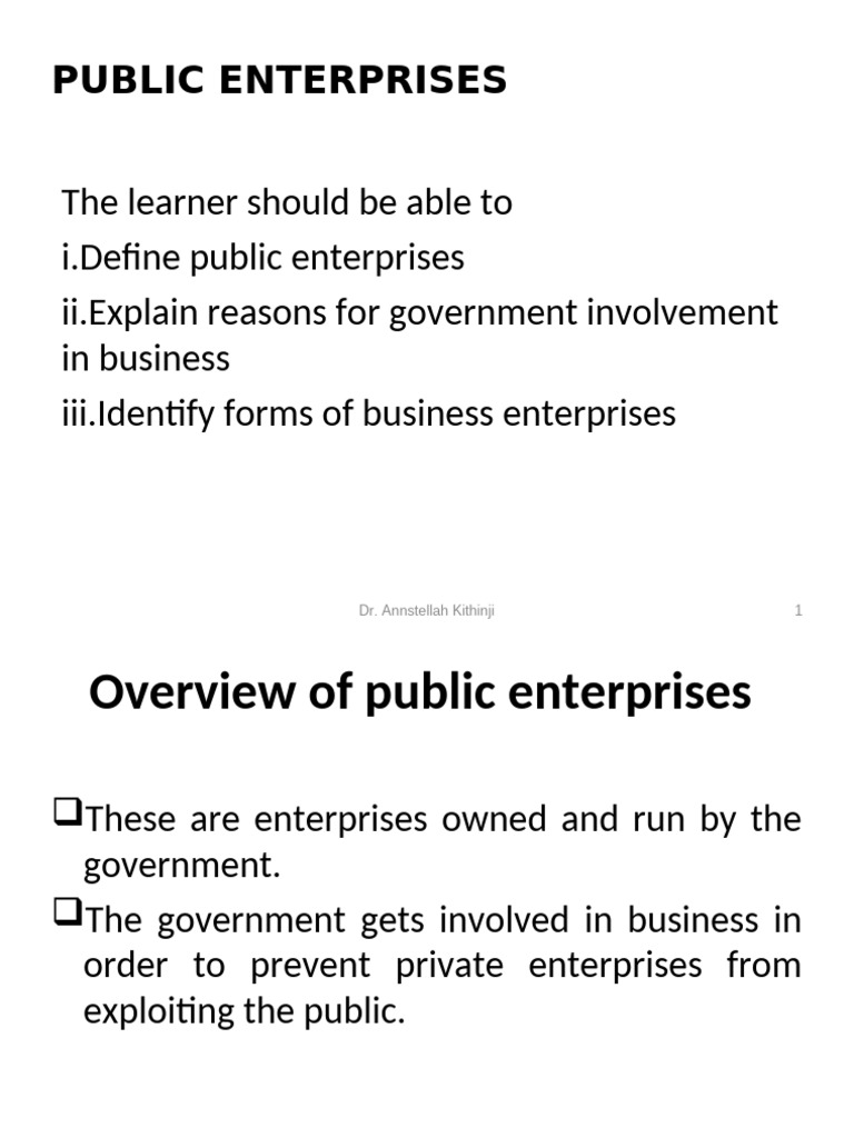 Lesson 8 - Public Enterprises | PDF | State Owned Enterprise | Interest