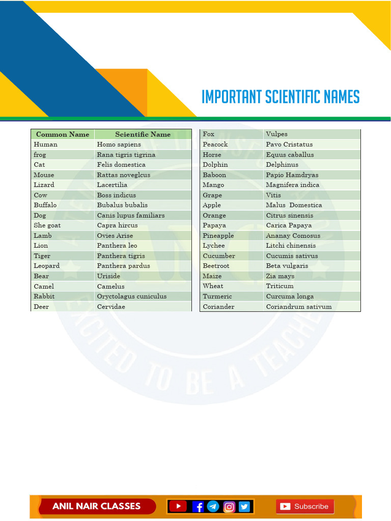 24 Important Scientific Names PDF | PDF