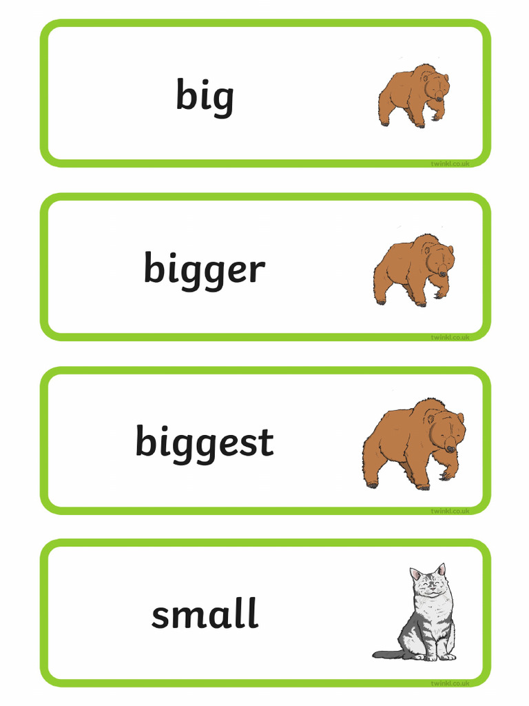 T N 118 Size Word Cards | PDF