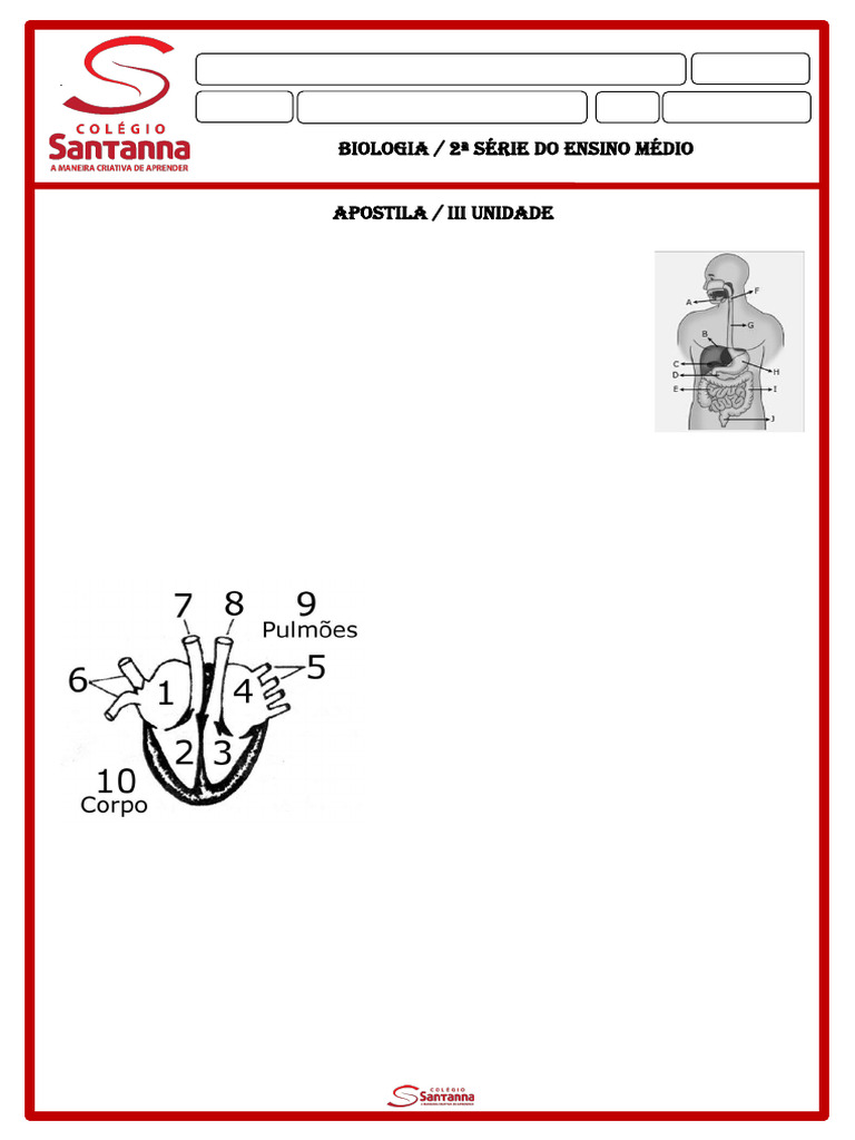 Anatomia e Fisiologia: Digestão e Reprodução | PDF