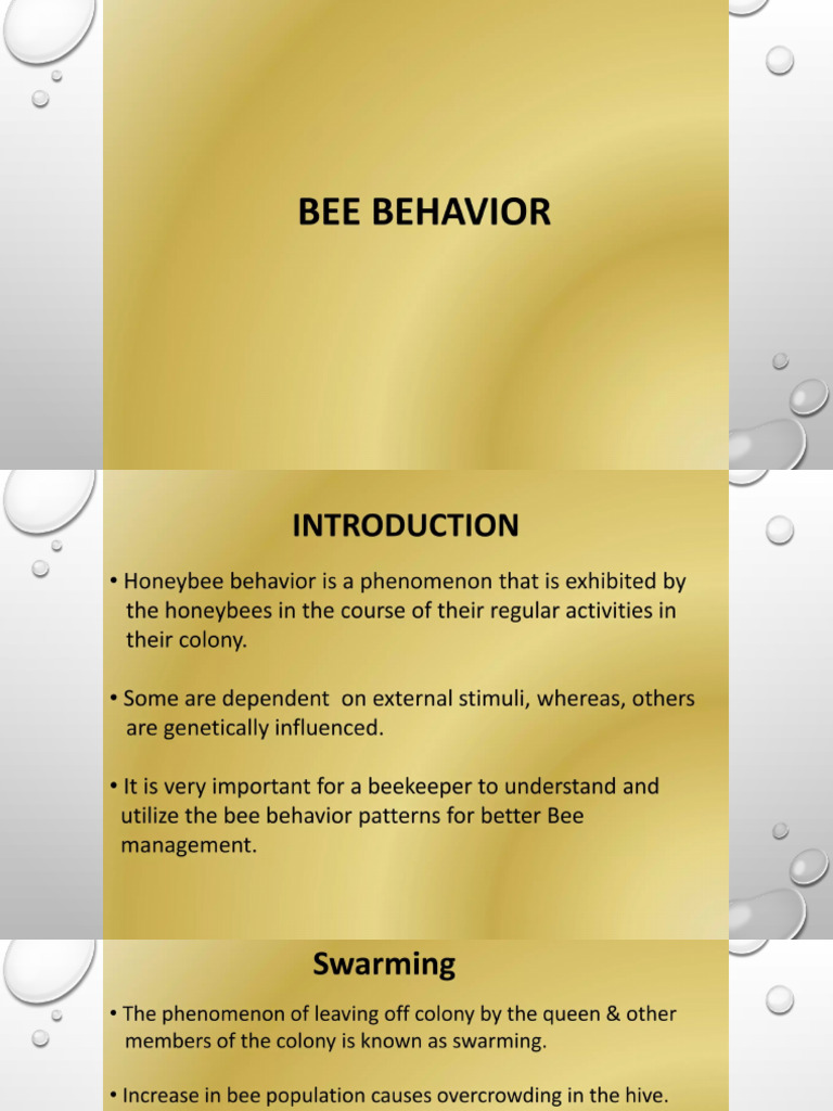 Bee Communication | PDF