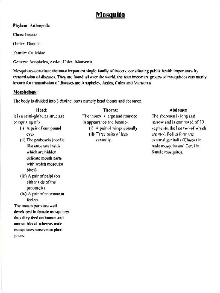 Misquote Notes | PDF