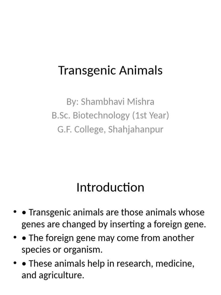 Understanding Transgenic Animals | PDF