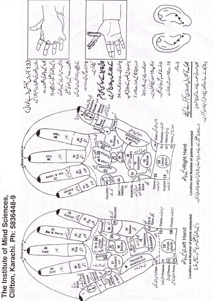Accu Pressure Points | PDF