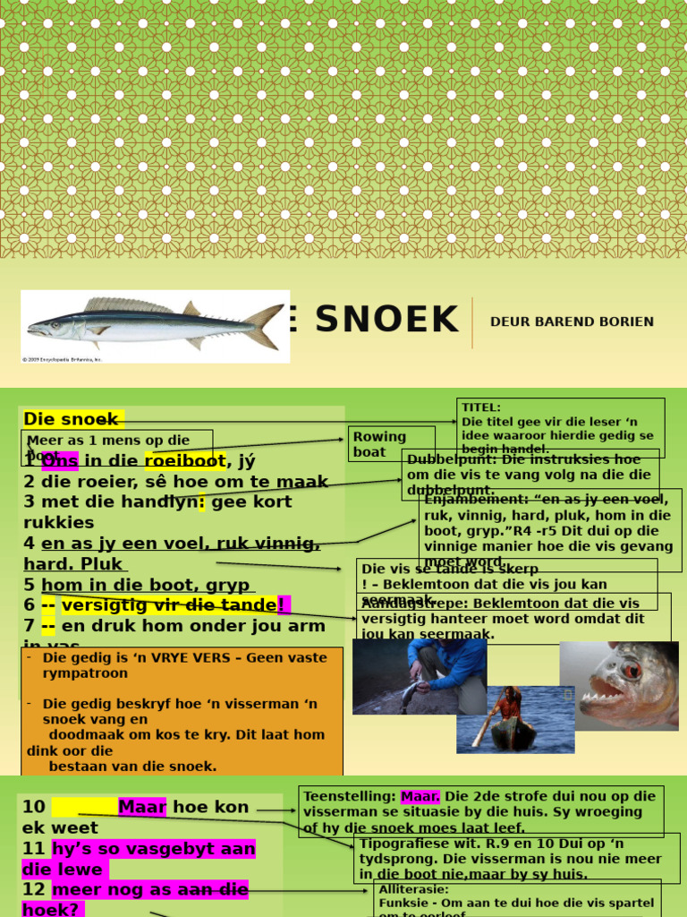 Die Snoek PPT KCW | PDF