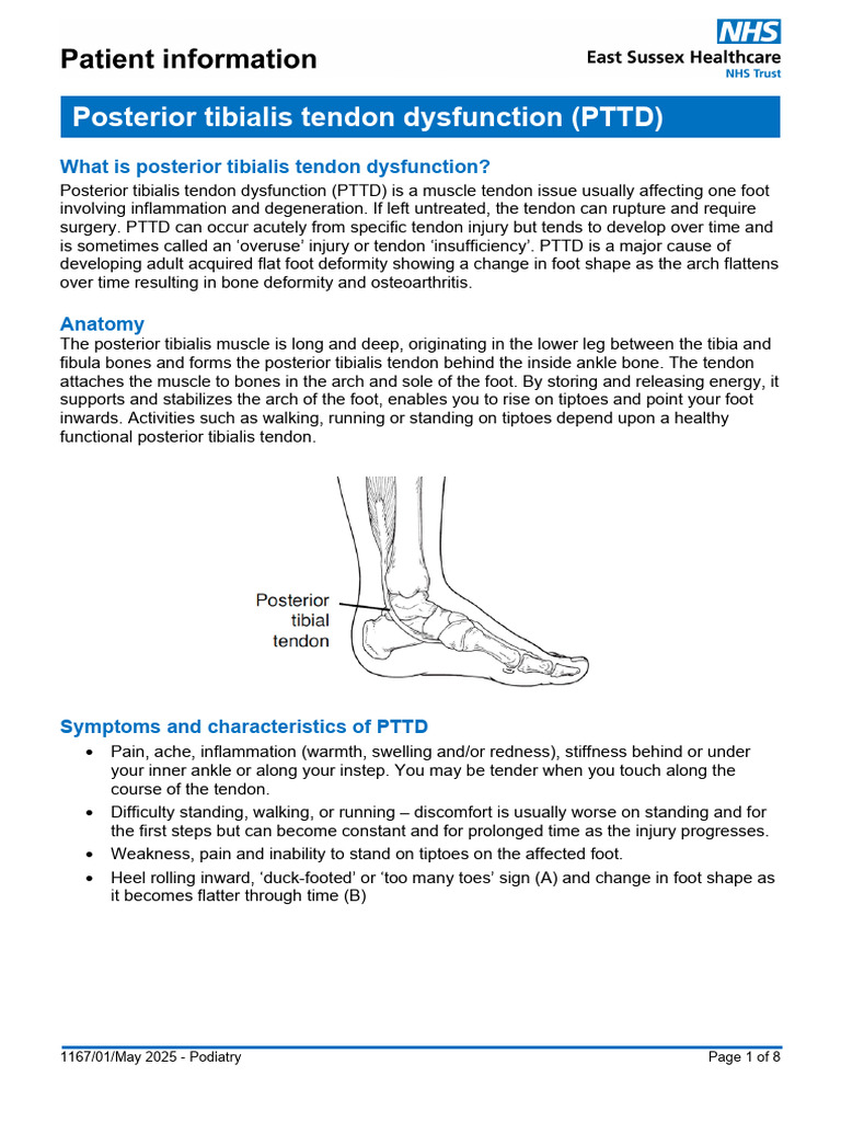 Posterior Tibial Tendon Injury | PDF | Foot | Ankle