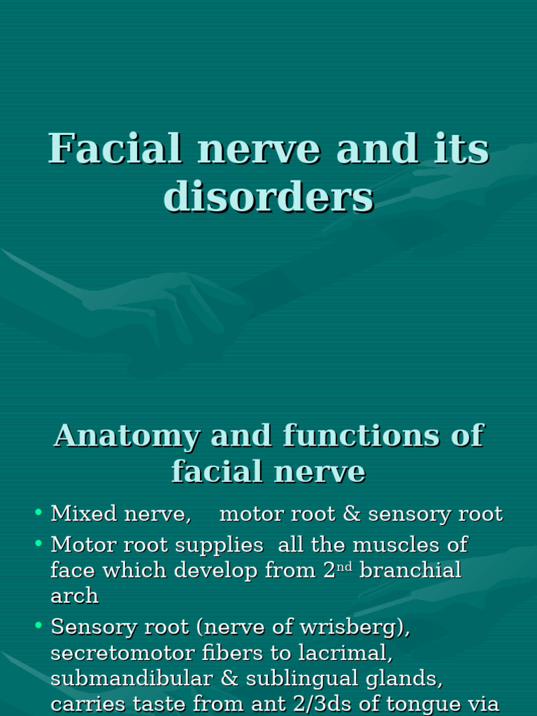 Facial Nerve Anatomy and Disorders | PDF | Human Head And Neck | Human ...