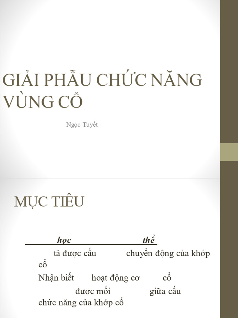 GPCN Ankle | PDF