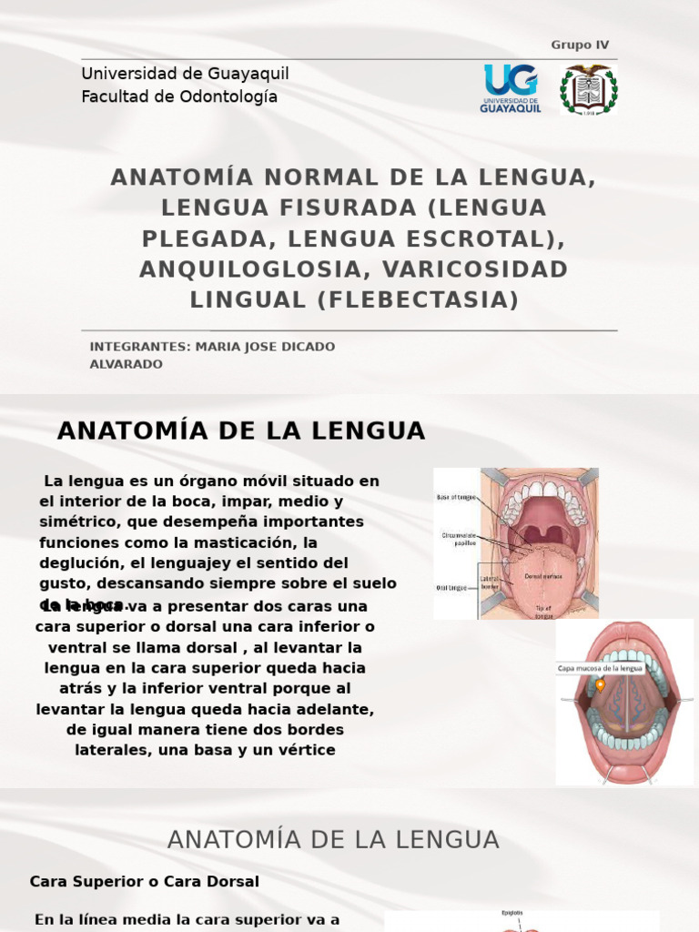 Anatomía y Alteraciones de la Lengua | PDF | Lengua | Enfermedades y ...