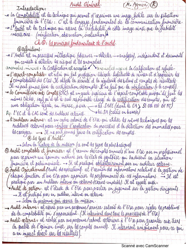 Résumé Audit Général | PDF