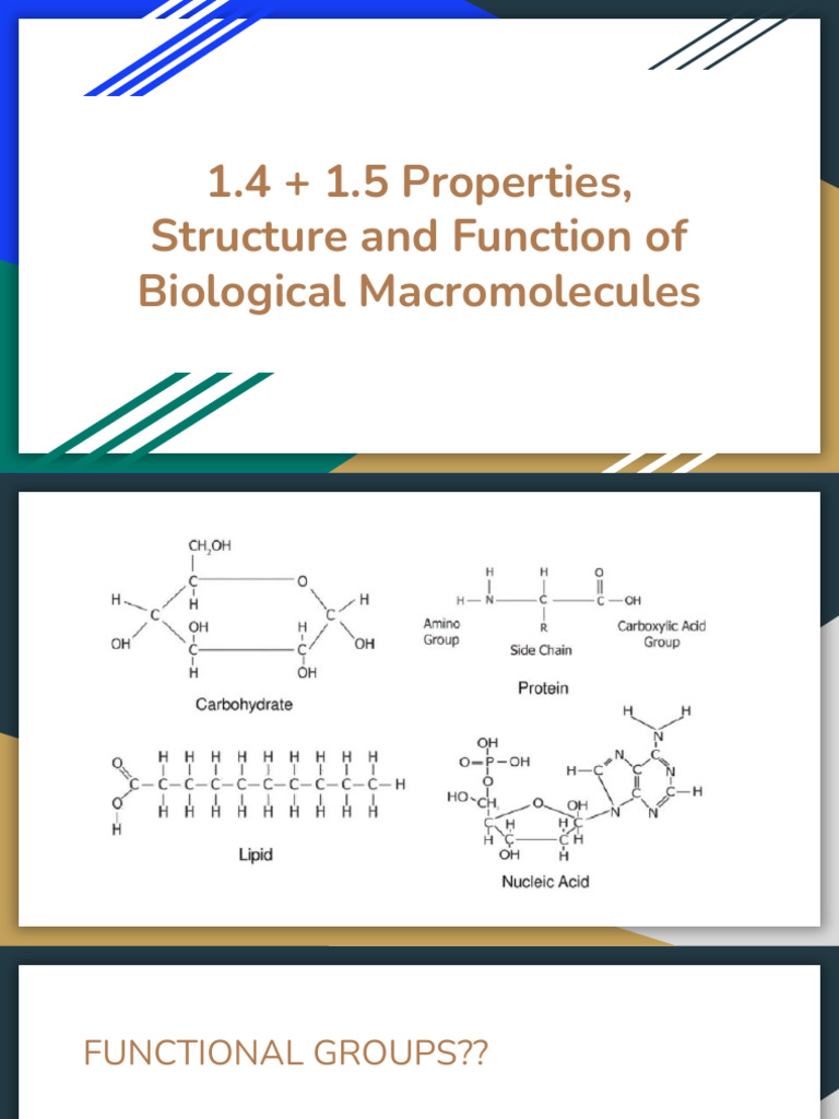 Unit 1 - Chemistry of Life - 1.4 Properties of Biological ...