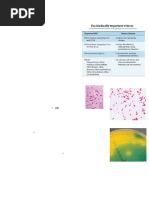 Gram-Negative Curved Rods Overview | PDF | Cholera | Immunology