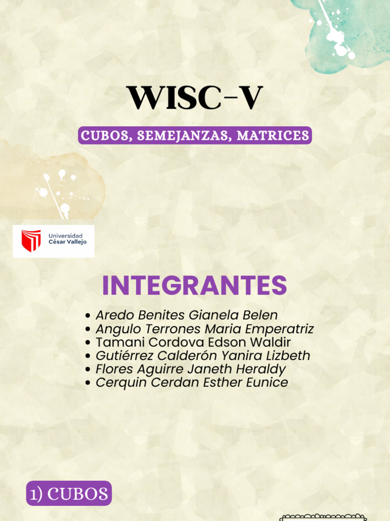 Aplicación y Normas WISC-V: Cubos, Semejanzas, Matrices | PDF | Matriz ...