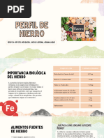 Examen de Ferremia y Hierro Sérico | PDF | Hierro