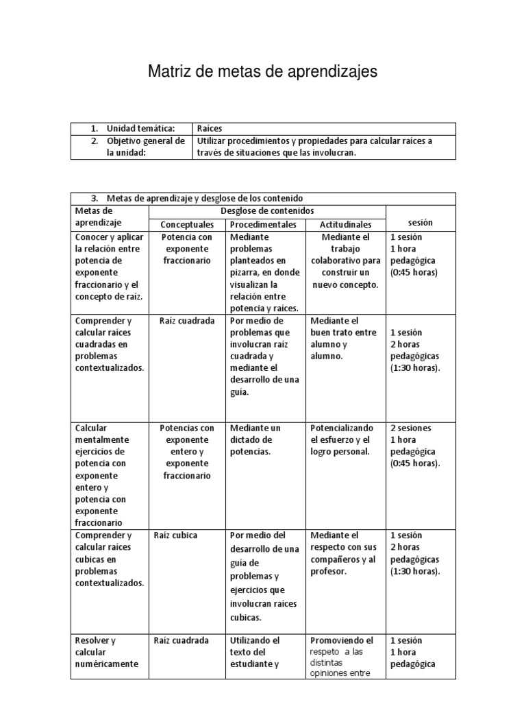 Matriz de Metas de Aprendizajes (Raices)
